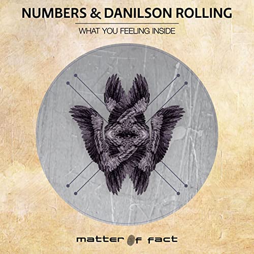 Écouter What You Feeling Inside par Numbers & Danilson Rolling sur ...