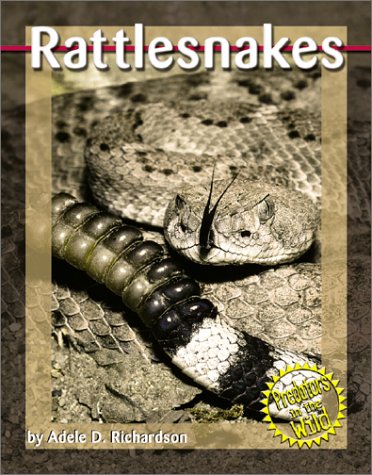 Rattlesnakes (Predators in the Wild): Richardson, Adele: 9780736813174 ...