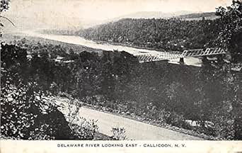 Delaware River Looking East Callicoon, New York, Postcard at Amazon's ...