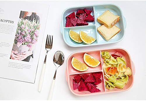 Sizikato Plato de cena rectangular de cerámica dividido plato de ...