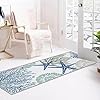 Amazon.com: Tritard Coastal Runner Rug 2x6 Nautical Kitchen Hallway ...