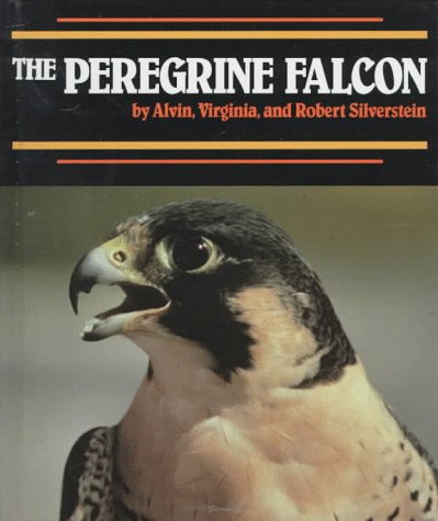 Peregrine Falcon,The (Endangered in America): Alvin Silverstein ...