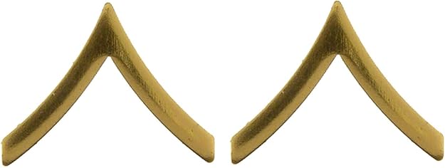Amazon.com: United States Army PV2 E2 Insignia of Rank 7/8" Gold Tone ...