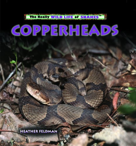 Copperheads (The Really Wild Life of Snakes): Feldman, Heather ...
