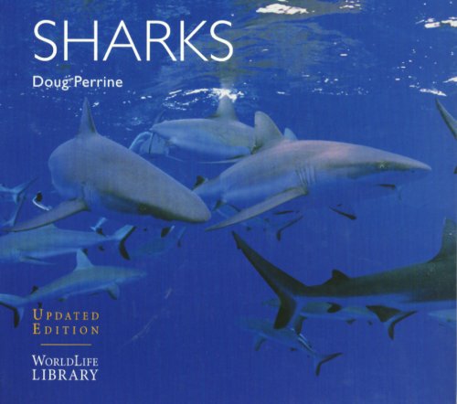 Sharks (Worldlife Library Series): Perrine, Doug: 9780896586048: Amazon ...