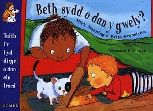 Amazon.com: Beth Sydd O Dan Y Gwely?: 9781843231929: Mick Manning: Books
