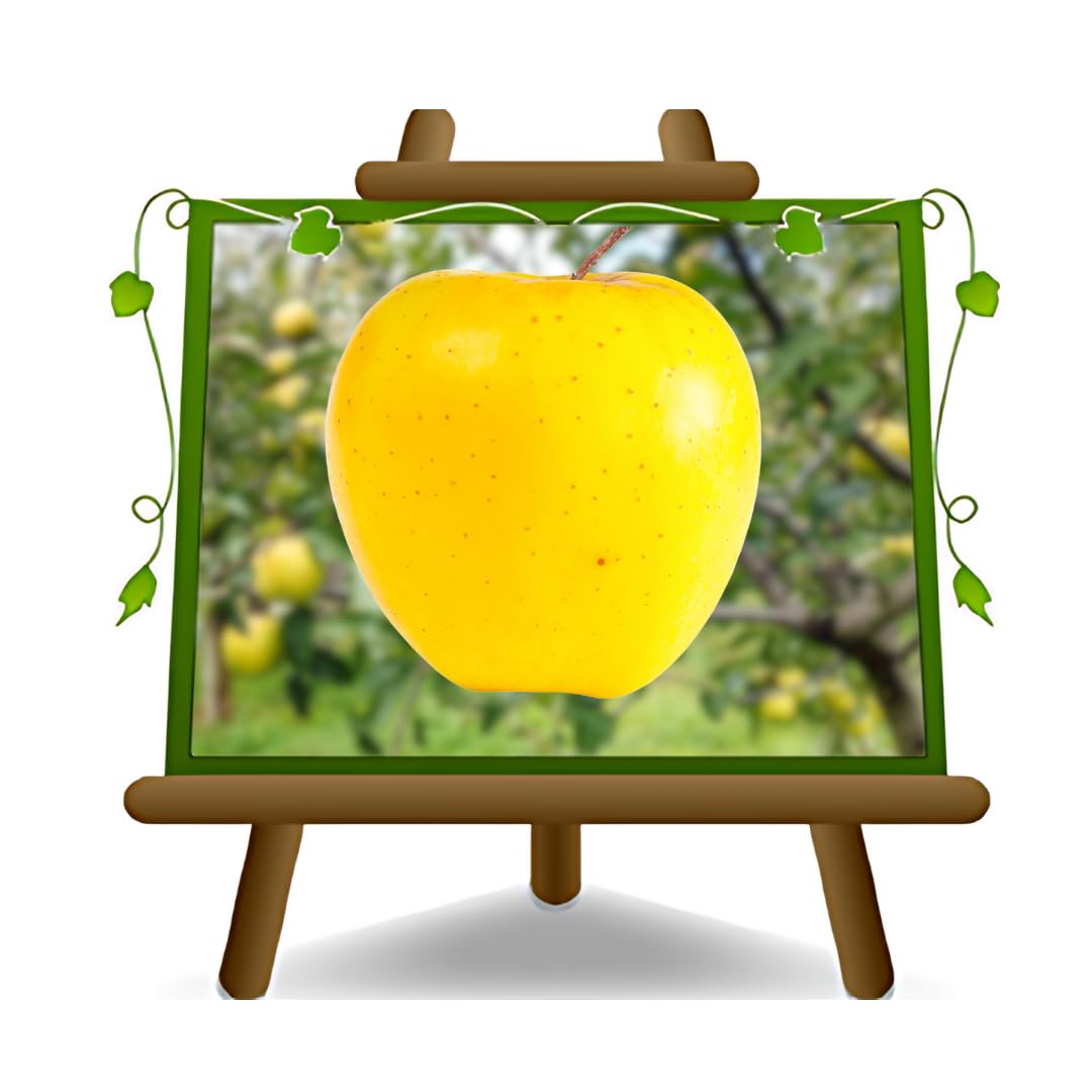Appelboom Omtrek