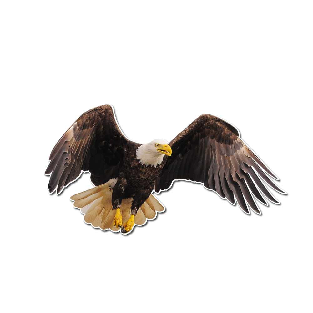 Amazon.com - Eagle Wing Flap 12 inch Full Color Indoor Outdoor Vinyl Decal