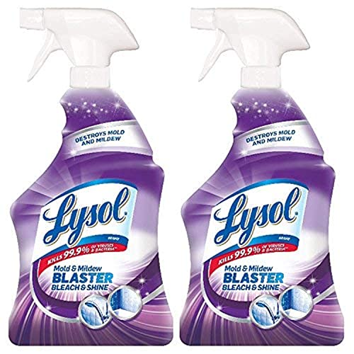 The 16 Best Mold Prevention Spray of 2026 [Verified] - Cherry Picks