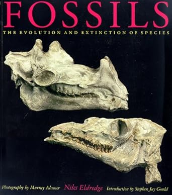 Fossils: The Evolution and Extinction of Species: Amazon.co.uk ...