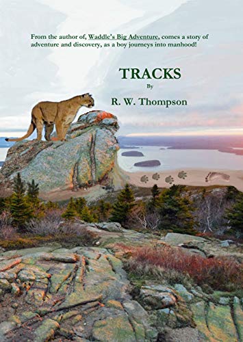 Book review of Tracks - Readers' Favorite: Book Reviews and Award Contest