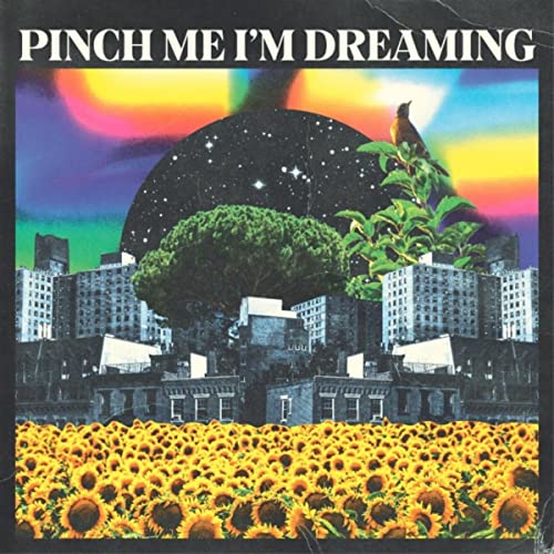 Surprising Pinch Me I M Dreaming Color Images