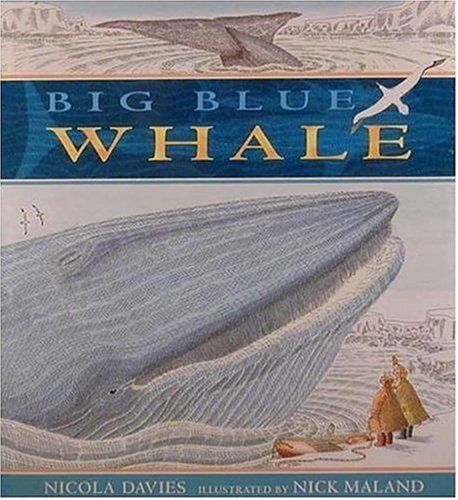 Big Blue Whale (Read and Wonder): Davies, Nicola, Maland, Nick ...