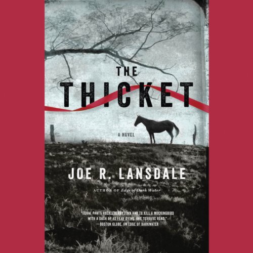 Amazon.com: The Thicket (Audible Audio Edition): Joe R. Lansdale, Will ...