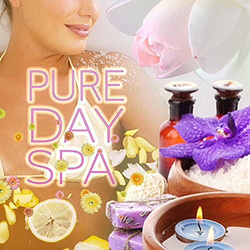 Pure Day – Die 15 besten Produkte im Vergleich - Heim & Werk Ratgeber