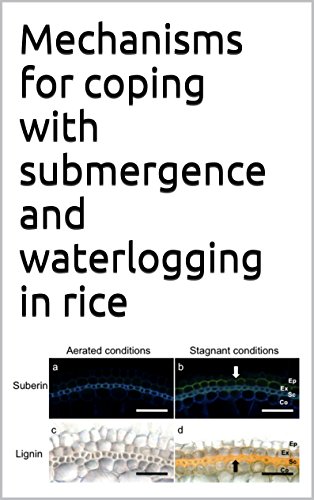 Mechanisms for coping with submergence and waterlogging in rice eBook ...