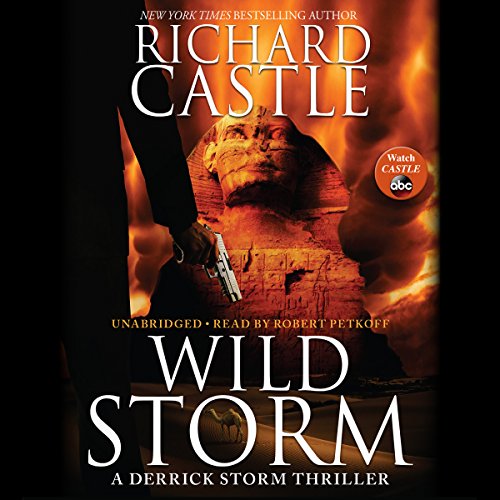 Amazon.com: Wild Storm: A Derrick Storm Thriller (Audible Audio Edition ...