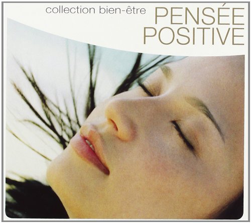 Pensée Positive: Compilation, Thierry Noritop: Amazon.es: CD y vinilos}