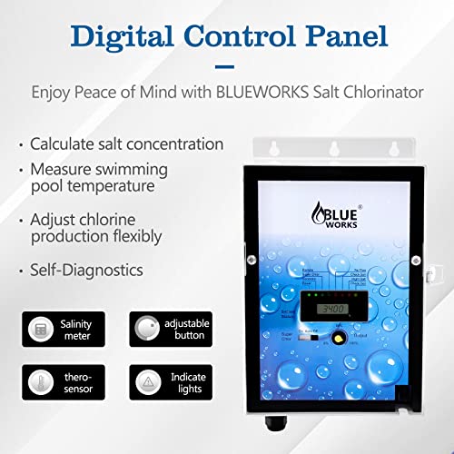 BLUE WORKS Saltwater Chlorination System BLH20 for 15,000 Gallons In ...