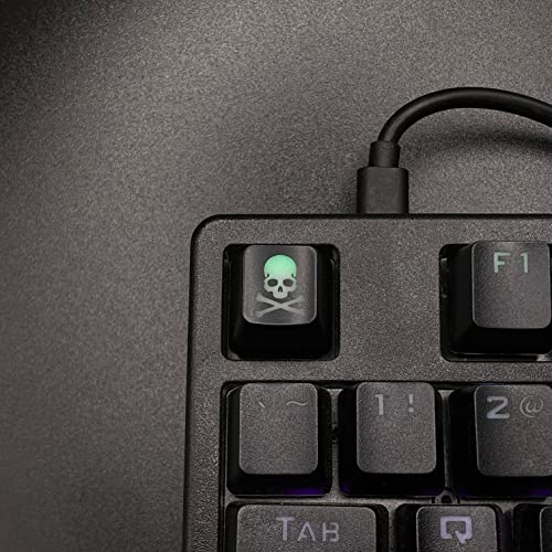Snapklik.com : BTXETUEL Skull Backlit Keycap,Costom Kecaps For Cherry ...