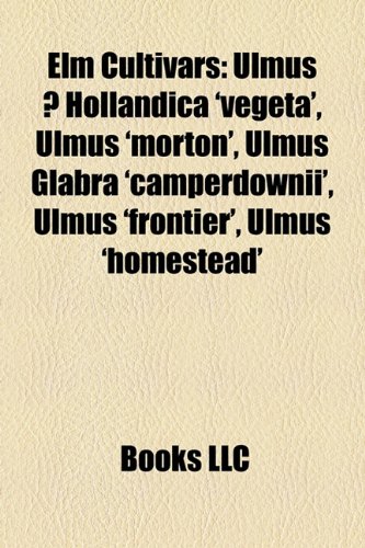 Amazon.co.jp: Elm cultivars: Ulmus × hollandica 'Vegeta', Ulmus glabra ...