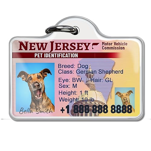 10 Best Pet ID Options: Get Your Furry Friend Licensed and Identified ...