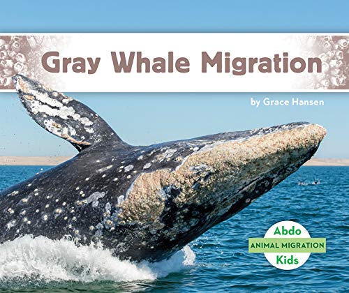 Gray Whale Migration (Animal Migration): Hansen, Grace: 9781098202330 ...