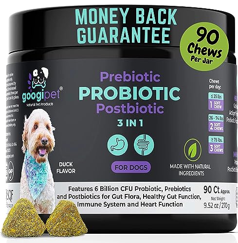 Fuel your furry friend's health with the best-in-class Ruff Greens dog ...