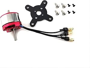 Amazon.com: Mini Homemade Fixed Wing Micro electronic starter, Model ...