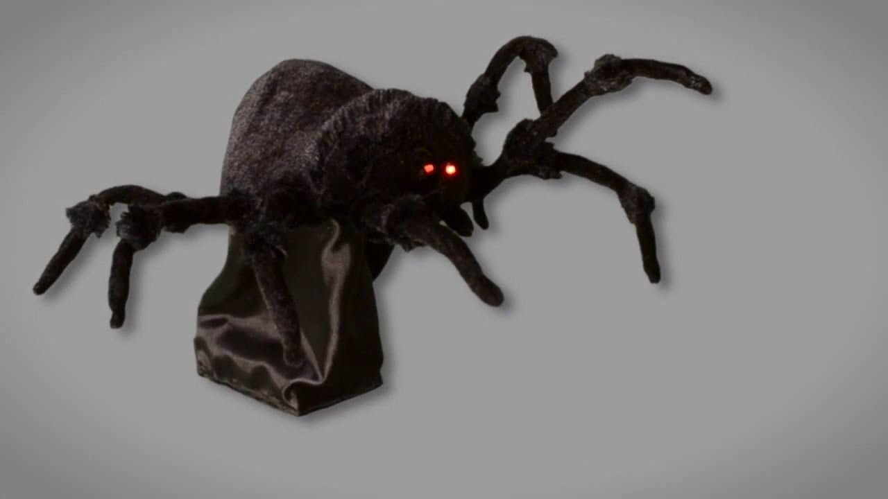 Amazon.com: Animated Jumping Spider Standard : Toys & Games