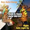 Amazon.com : Solar-Powered Parrot Garden Light, 2Pcs | Whimsical Yard ...