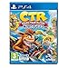 Amazon.com: Crash™ Team Racing Nitro-Fueled (PS4) : Video Games