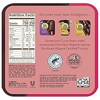 Amazon.com: Magnum Ice Cream Bars For an Indulgent Frozen Treat Double ...