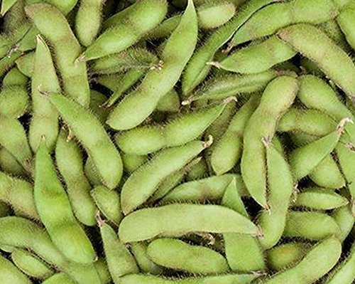 Edamame Continente - FICA
