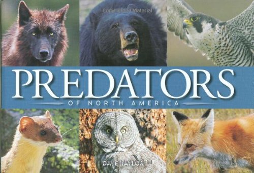 Amazon.com: Predators of North America: 9781550465204: Taylor, Dave: Books