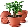 Amazon.com : RooTrimmer 8 Inch Plant Pots, 8 Pack Plastic Pots for ...