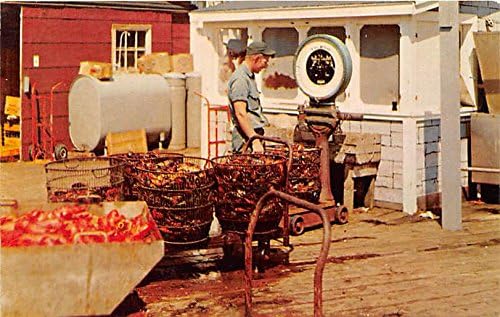 Maine Lobster Weighing Station Misc Maine Postcard at Amazon's ...