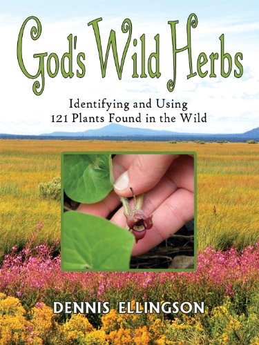 God's Wild Herbs : Identifying and Using 121 Plants Found in the Wild ...