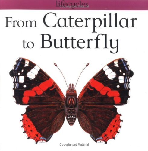 From Caterpillar to Butterfly (Lifecycles) : Legg, Gerald: Amazon.co.uk ...