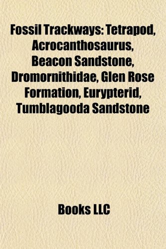 Fossil trackways: Tetrapod, Acrocanthosaurus, Beacon sandstone ...