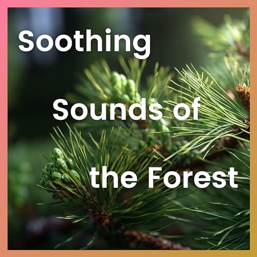 Soothing Sounds of the Forest by Forest Sounds Channel on Prime Music