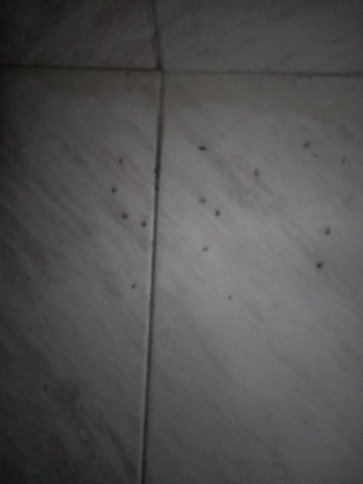 Tata Sentry Lambda Cyhalothrin WP Pest Control for Eradication of ...