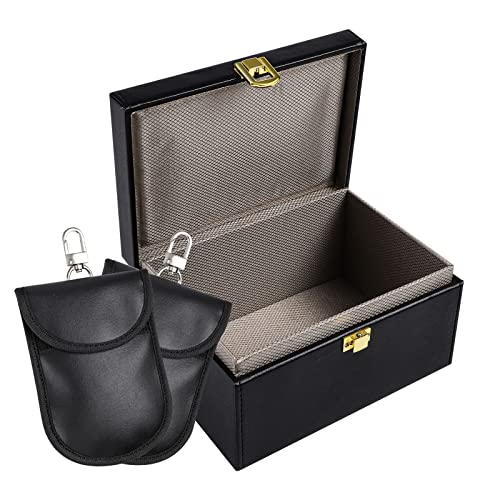 Best Faraday Boxes – Best Cost