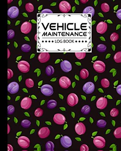 16 Best New Car Repair Books To Read In 2022 - BookAuthority