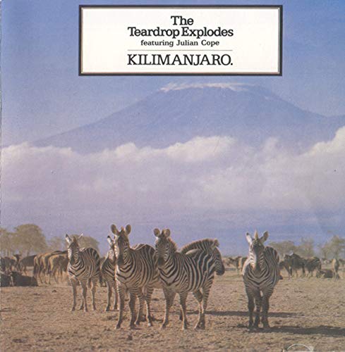 THE TEARDROP EXPLODES - Live in London - Amazon.com Music