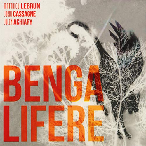 Amazon.com: Bengalifère : Matthieu Lebrun, Jordi Cassagne & Julen ...
