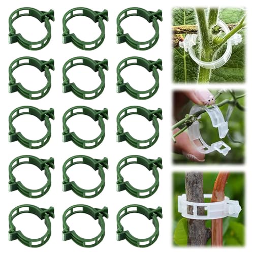 The Types of Trees That Produce the Most Oxygen