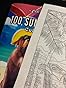 100 Summer Scenes: An Adult Coloring Book Featuring 100 Fun and ...