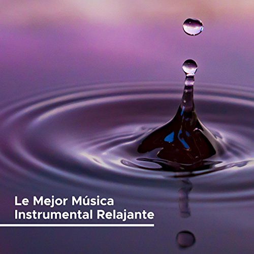 Amazon.com: Le Mejor Música Instrumental Relajante: Música New Age ...