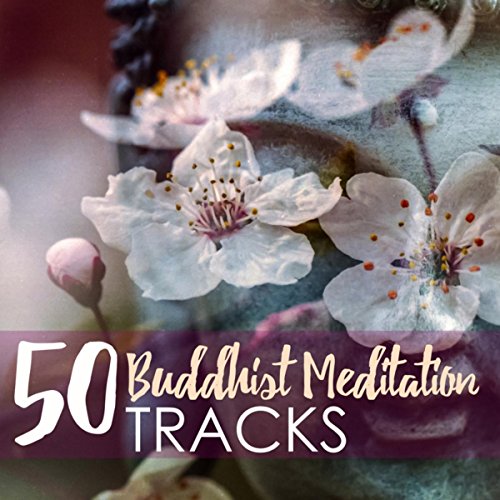 Amazon.com: 50 Buddhist Meditation Tracks - Mindful Meditations Music ...